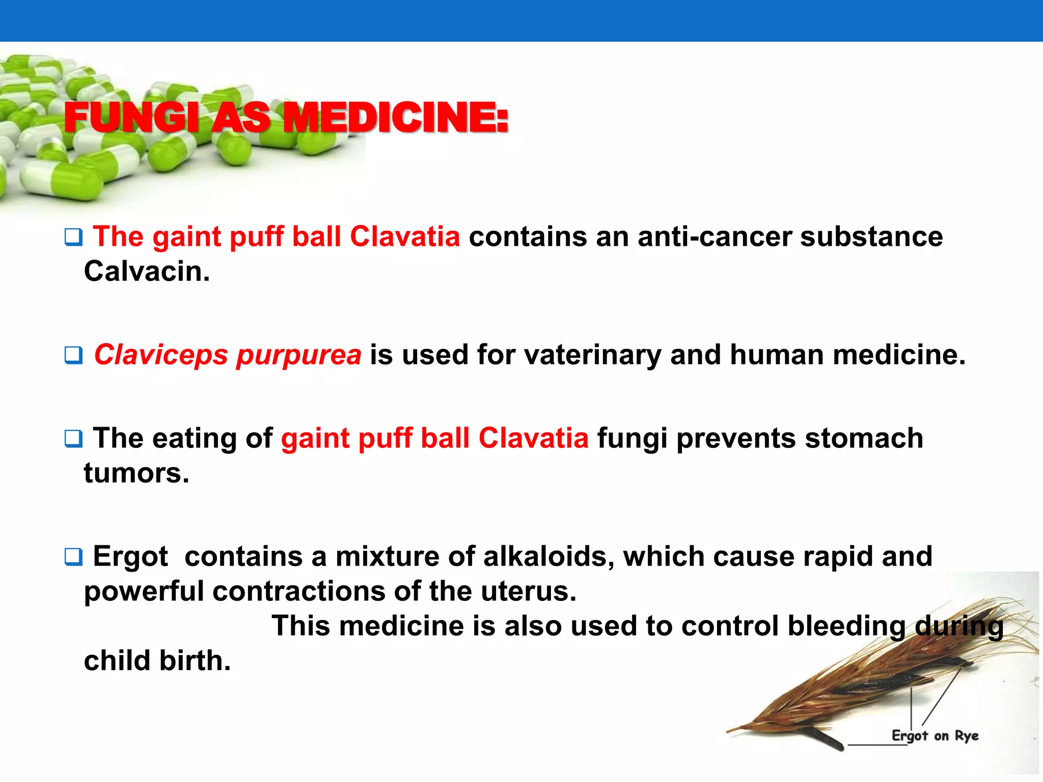 FUNGI - ROLE IN AGRICULTURE,MEDICINE & COMMERCIAL PRODUCTS. | PPTX