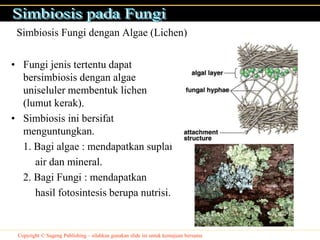 fungi.ppt