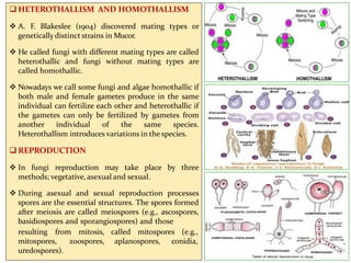 fungi fngiiiiiiiiiiiiiiiiiiiiiiiiii.pptx