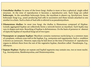 fungi fngiiiiiiiiiiiiiiiiiiiiiiiiii.pptx