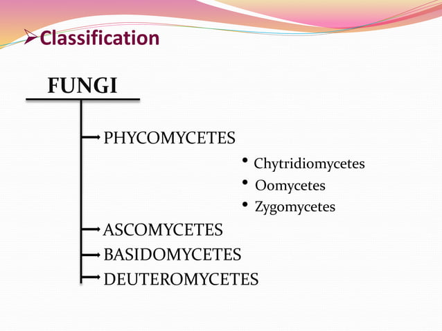 Introduction to fungus of all kinds.pptx