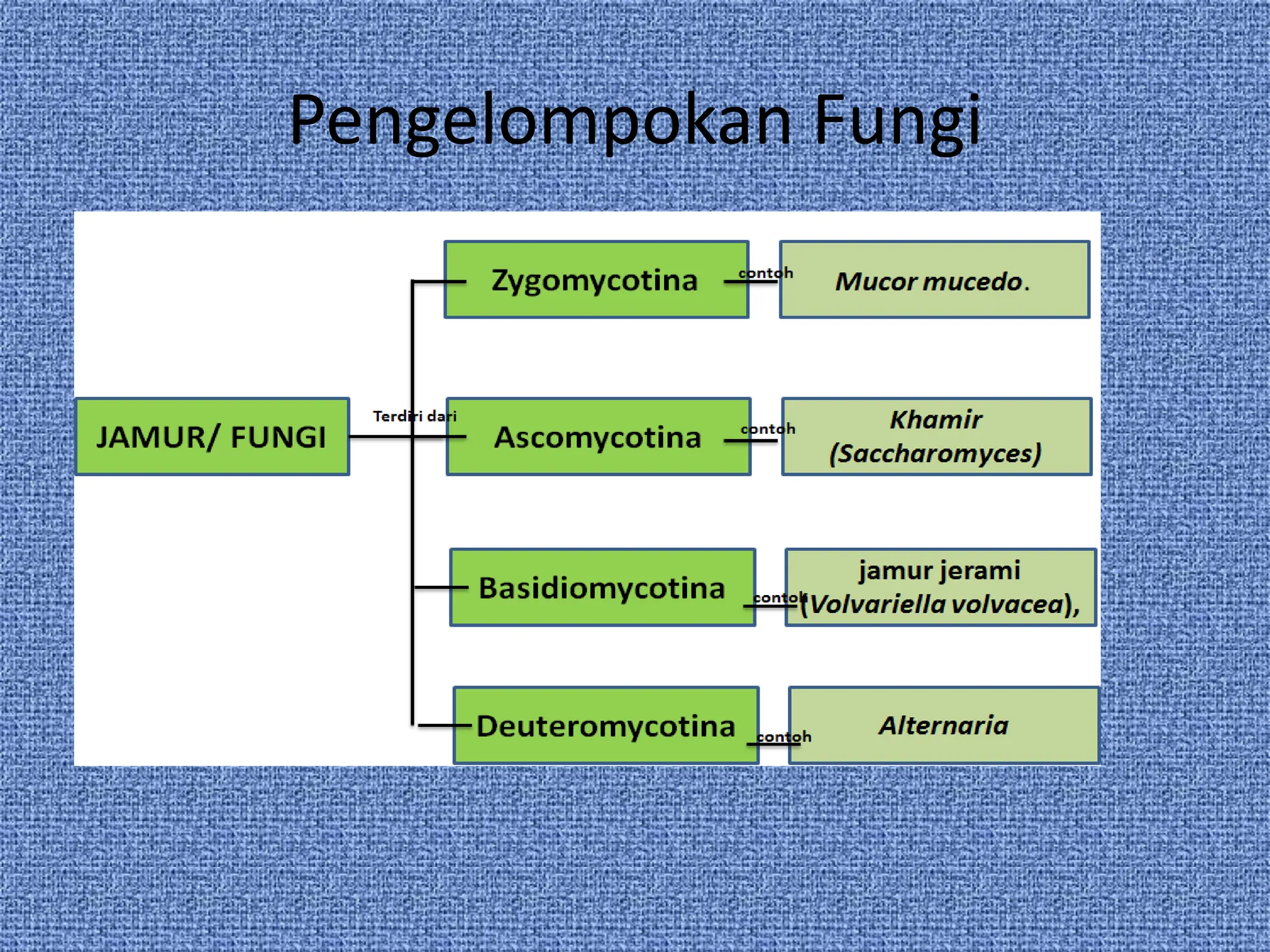 Biologi Dasar Semester 1 Pendidikan Biologi - FUNGI | PPT