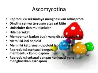 Biologi Dasar Semester 1 Pendidikan Biologi - FUNGI | PPT