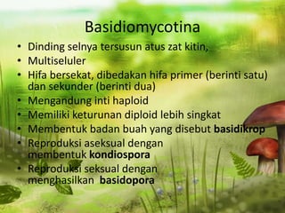 Biologi Dasar Semester 1 Pendidikan Biologi - FUNGI | PPT