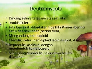 Biologi Dasar Semester 1 Pendidikan Biologi - FUNGI | PPT