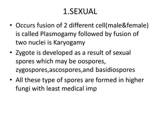 Fungi. Pdf .................................. | PDF