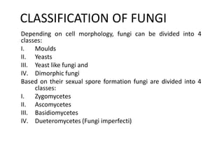 Fungi. Pdf .................................. | PDF
