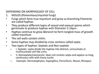 fungi...............................pptx