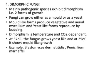 fungi...............................pptx