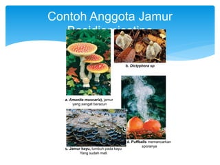 Analisis Jamur pada makhluk hidup 1.pptx