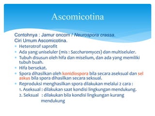 Analisis Jamur pada makhluk hidup 1.pptx | Free Download