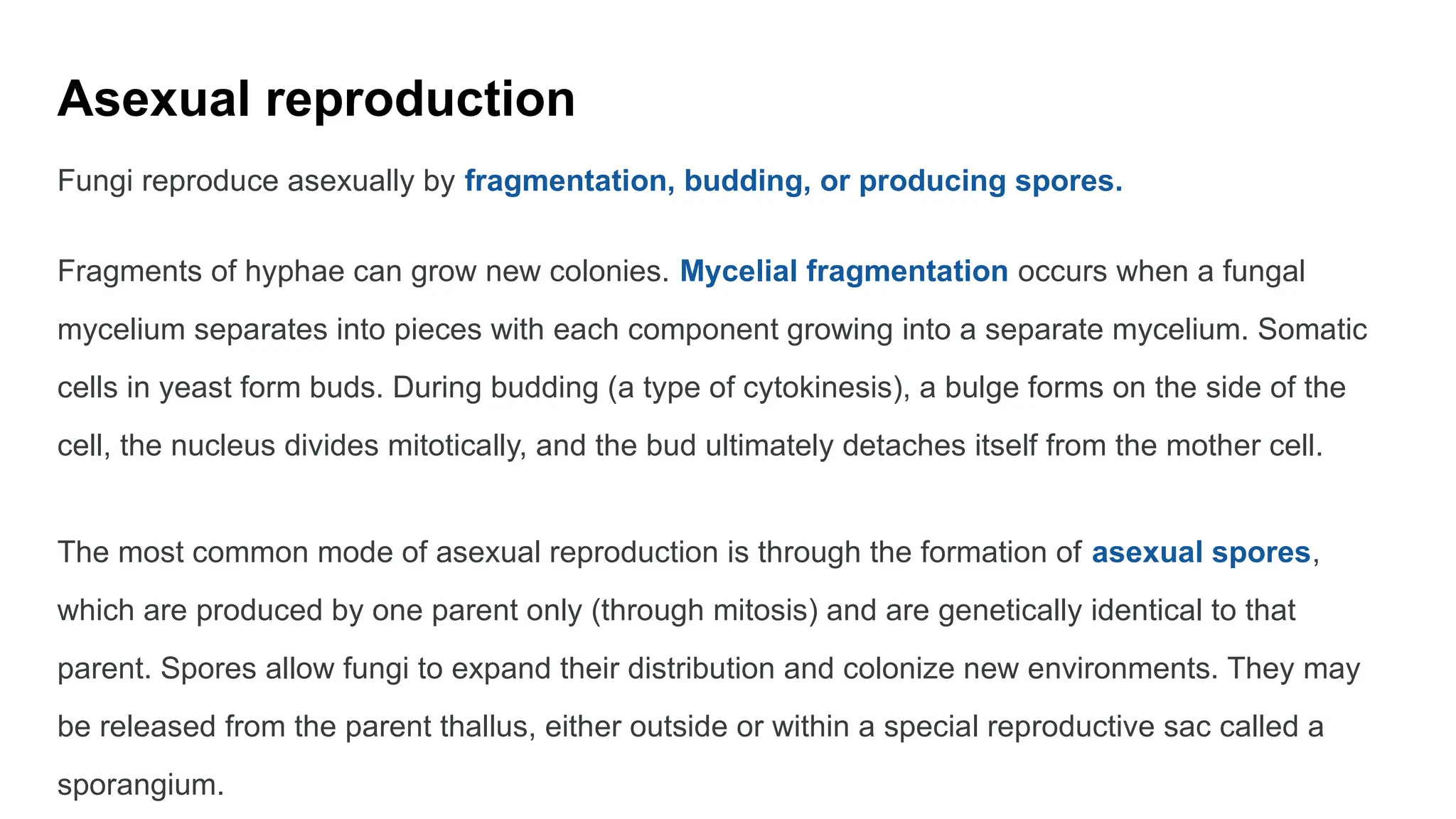 fungi classification in ecosystem mushroom.pptx
