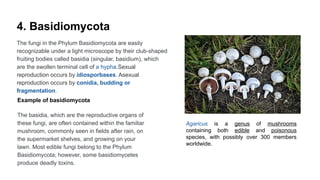 fungi classification in ecosystem mushroom.pptx