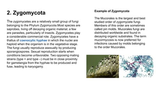 fungi classification in ecosystem mushroom.pptx