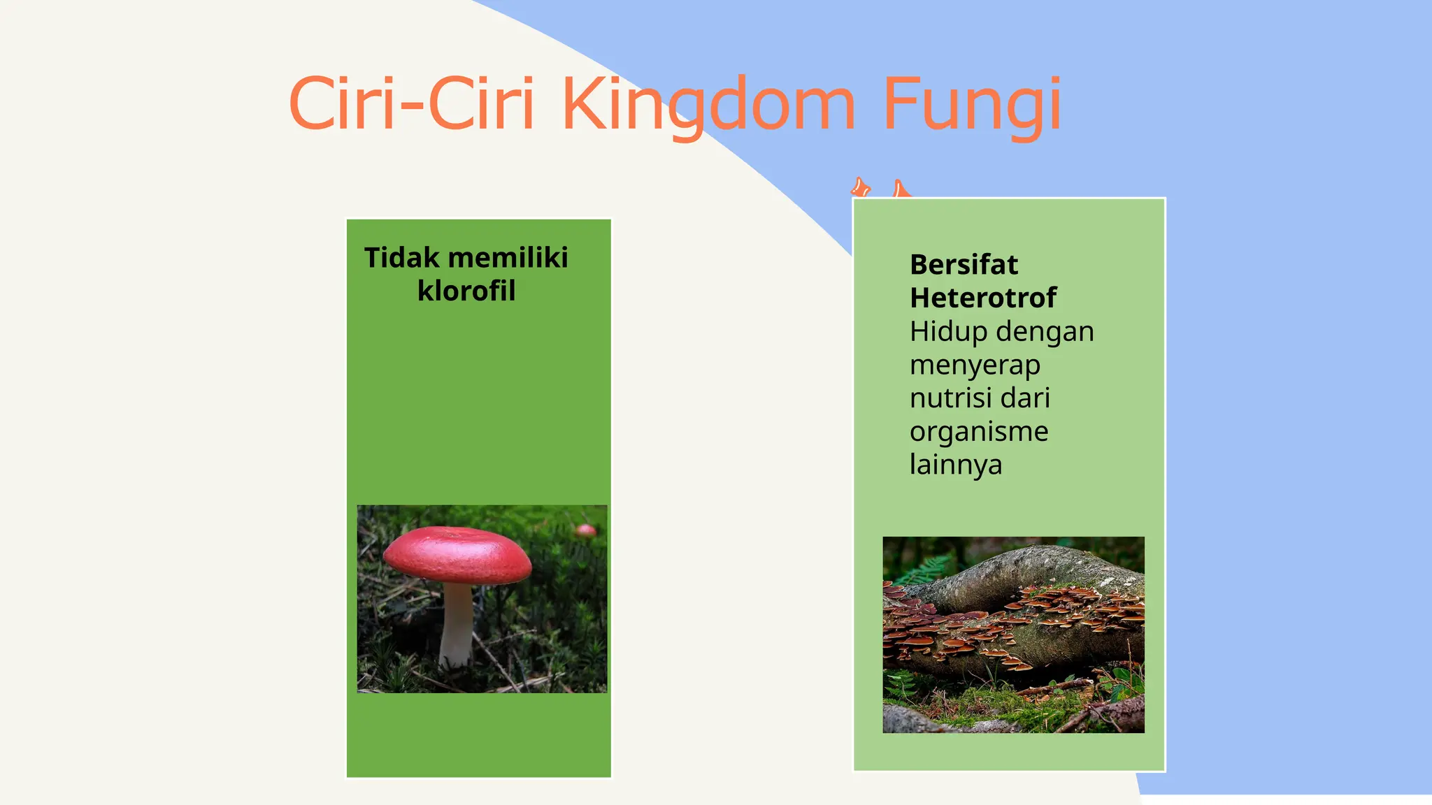 fungi kingdong jamur kelas 10 sma k13.pptx