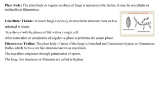 fungi.PPTX These organisms are classified as one of the traditional ...