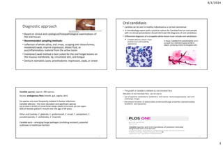 Lecture on Fungi in Relevance to Dentistry.pdf