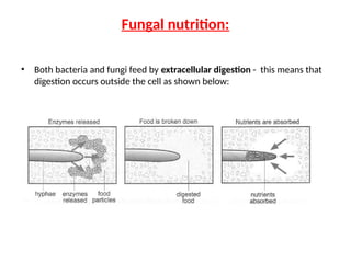 Grade 11 Notes Microrganisms Bacteria,Fungi.pptx