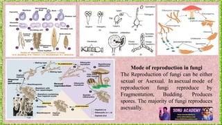 Microorganisms: Friend and Foe – Fungi Chapter-2 Class 8- CBSE | PPT