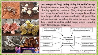 Microorganisms: Friend and Foe – Fungi Chapter-2 Class 8- CBSE | PPT