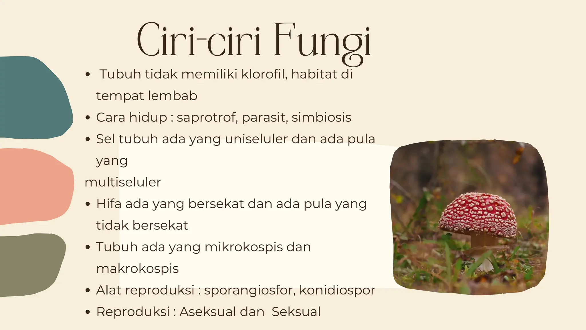 Materi Fungi kelas 10 Fase E. Berisi mengenai ciri-ciri fungi ...
