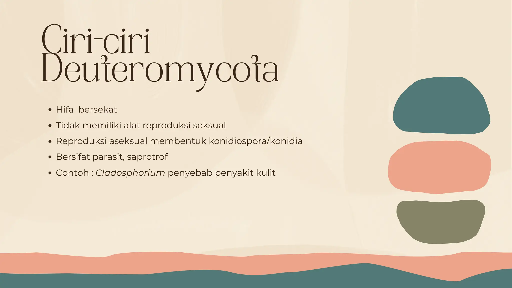 Materi Fungi Kelas 10 Fase E Berisi Mengenai Ciri Ciri Fungi