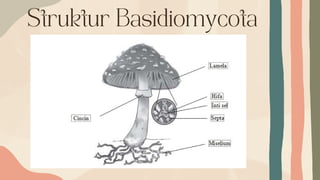 Materi Fungi kelas 10 Fase E. Berisi mengenai ciri-ciri fungi ...