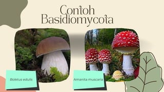 Materi Fungi kelas 10 Fase E. Berisi mengenai ciri-ciri fungi ...