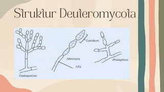 Materi Fungi kelas 10 Fase E. Berisi mengenai ciri-ciri fungi ...