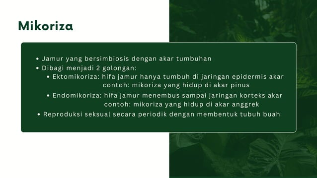 Power Point Presentasi Materi Jamur (Fungi) | PPT