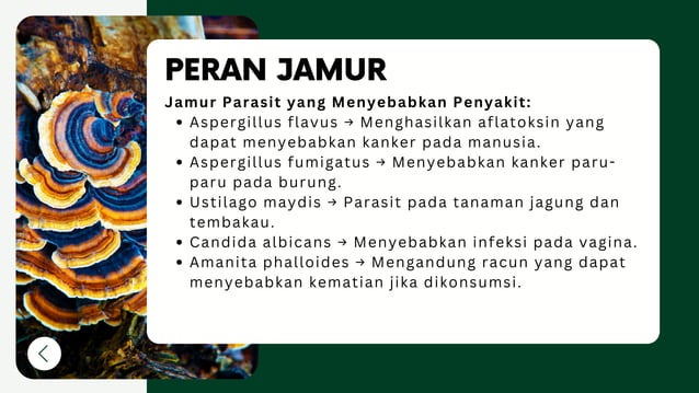 Power Point Presentasi Materi Jamur (Fungi) | PPT