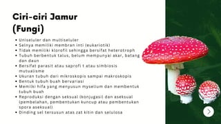 Power Point Presentasi Materi Jamur (Fungi) | PDF