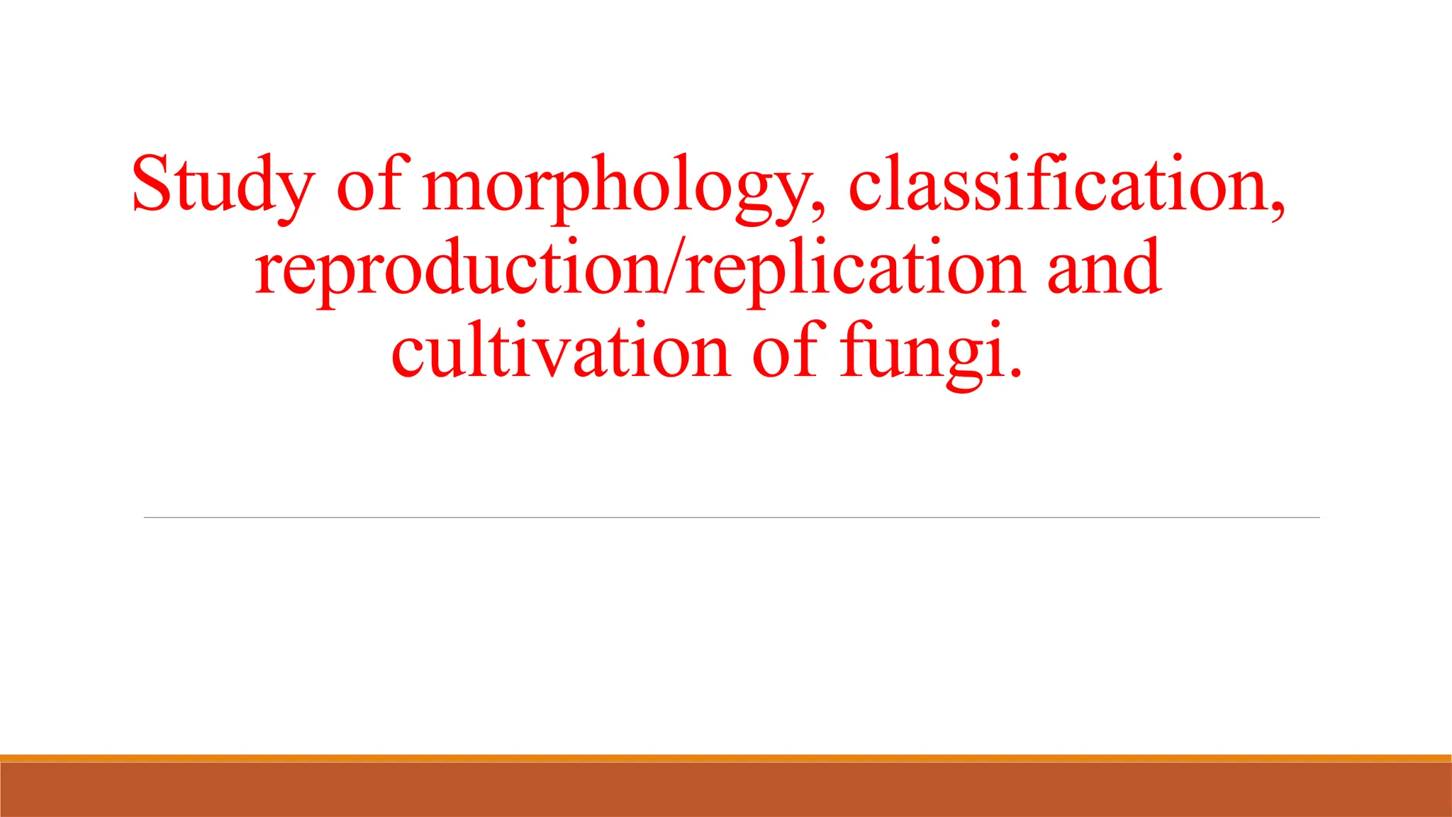 Morphology and ,,Classification of Fungi | PPTX