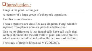 Morphology and ,,Classification of Fungi | PPTX