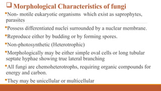 Morphology and ,,Classification of Fungi | PPTX