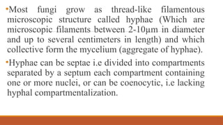 Morphology and ,,Classification of Fungi | PPTX