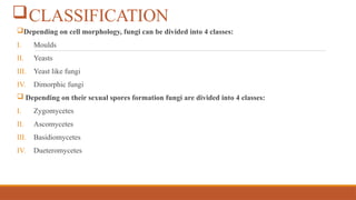 Morphology and ,,Classification of Fungi | PPTX