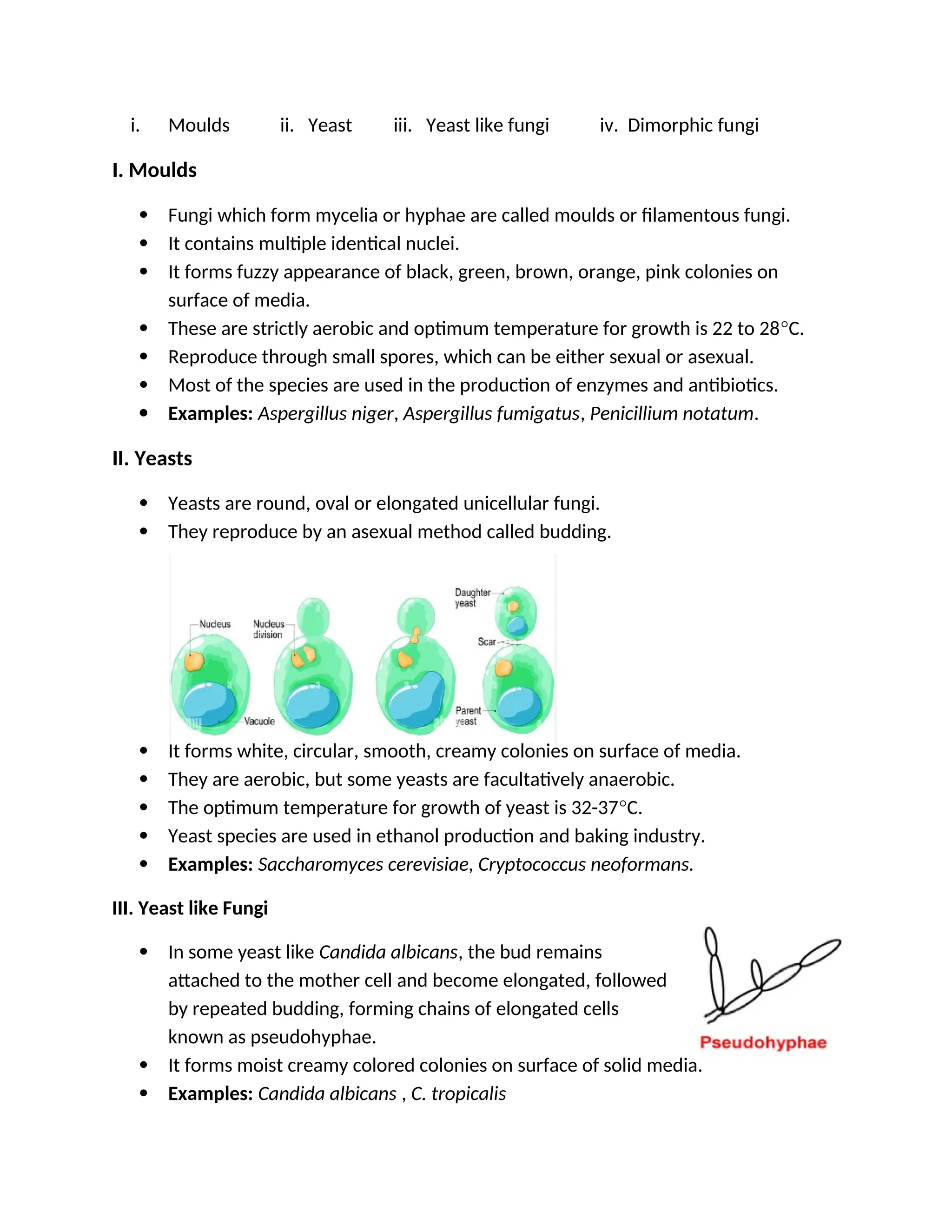 Fungi (Characteristics, morphology, classification, reproduction ...