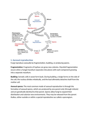 Fungi (Characteristics, morphology, classification, reproduction ...
