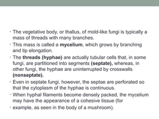 Fungi.pptxyyyyyyyyyyyyyyyyyyyyyyyyyyyyyyyy | PPTX