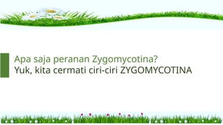 Mengenal Kingdom Fungi dan Bagaimana ciri-ciri dan peranan fungi? | PPTX