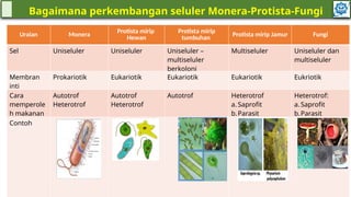 Mengenal Kingdom Fungi dan Bagaimana ciri-ciri dan peranan fungi? | PPTX