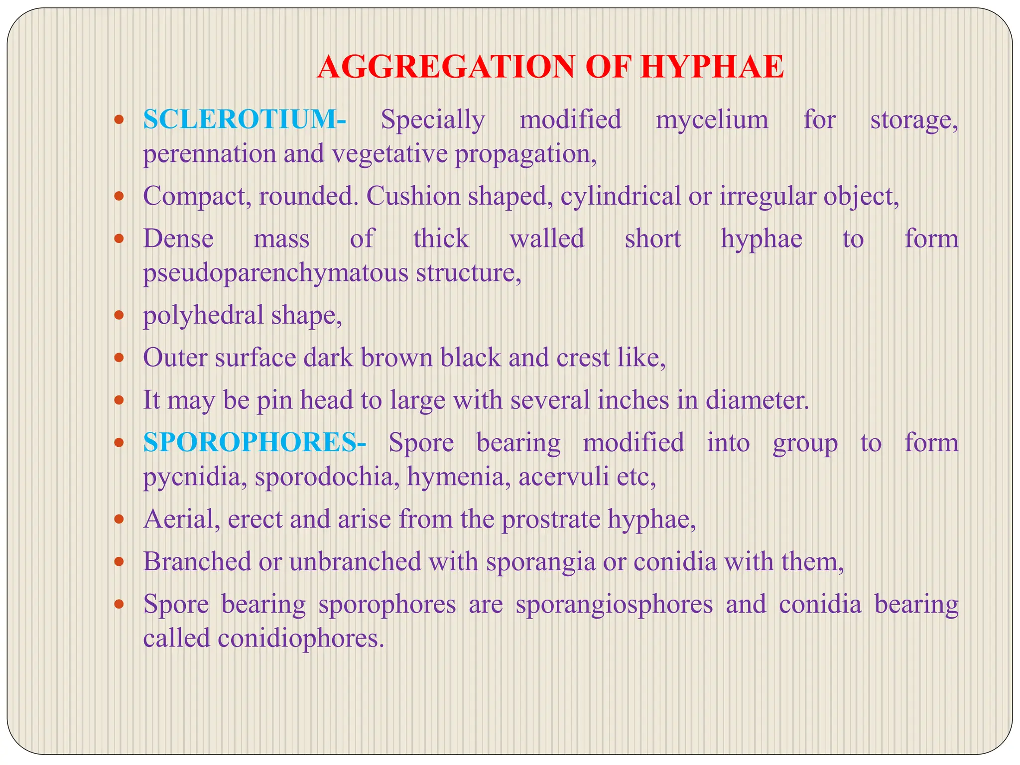 Fungi- Cell Wall & Thallus Structure.pdf