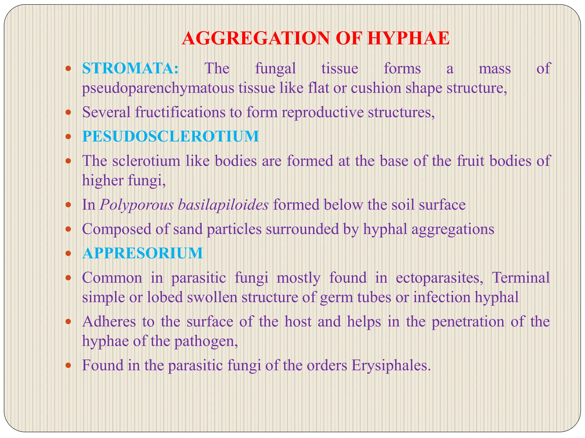 Fungi- Cell Wall & Thallus Structure.pdf