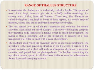 Fungi- Cell Wall & Thallus Structure.pdf