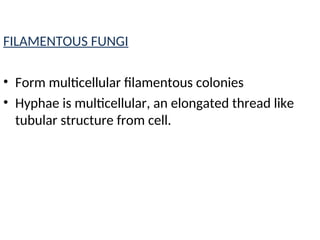 Mycology introduction Fungi-introduction | PPT