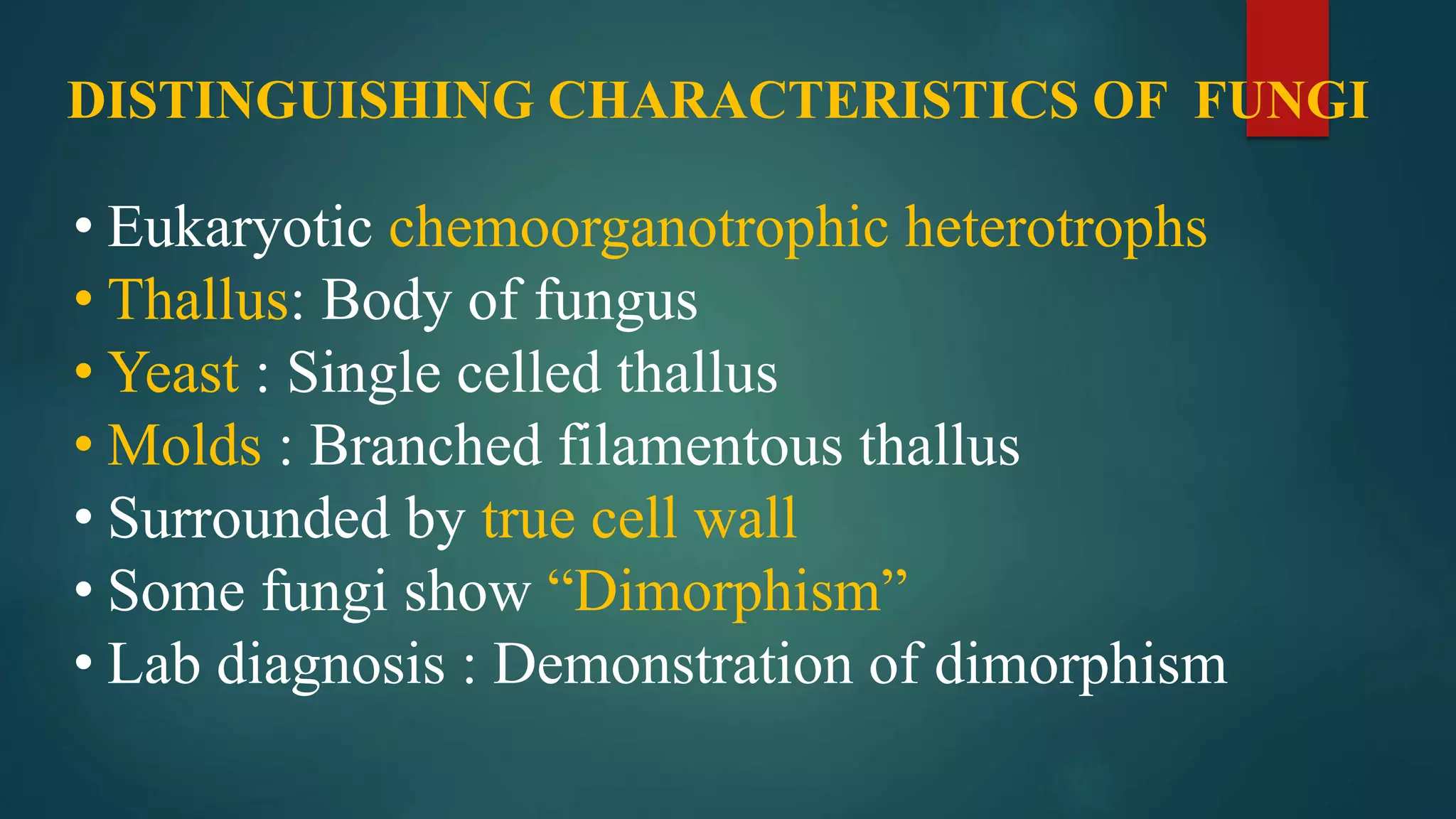 Fungi- Yeast and Molds- Dr C R Meera | PPTX