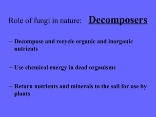 Fungi ppt good | PPT