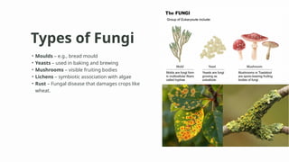 FUNGI KINDOM OF DECOMPOSERS GRADE 8 SCIENCE | PPTX