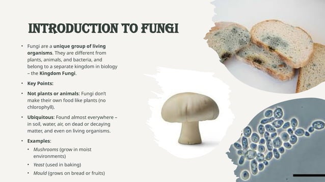 THE KINGDOM OF DECOMPOSERS-FUNGI GRADE VIII | PPTX